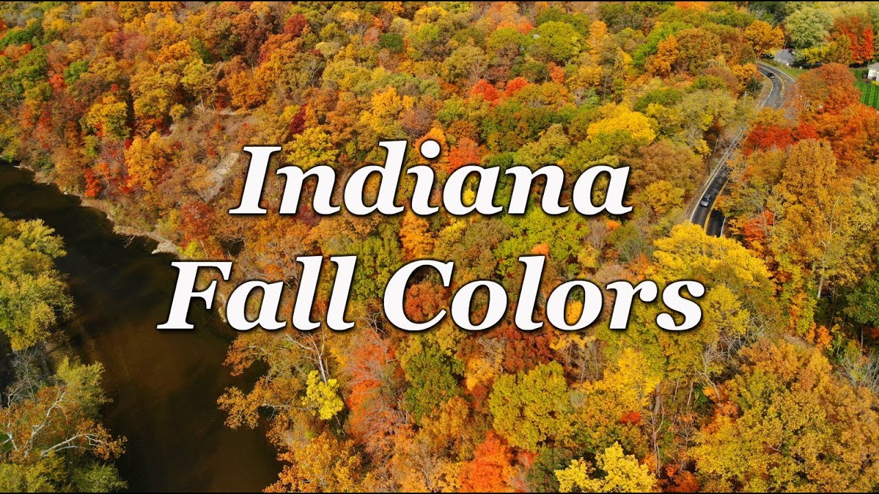 Fall Hike & Flight @ Clegg's Memorial Garden - YouTube