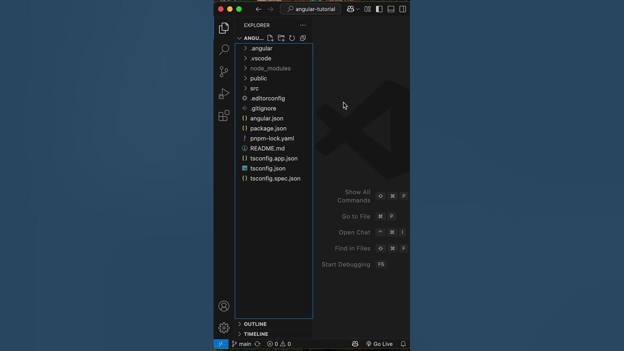 VS Code tip Quick search through files with preview | vs code grep #vscode #coding #programming ...