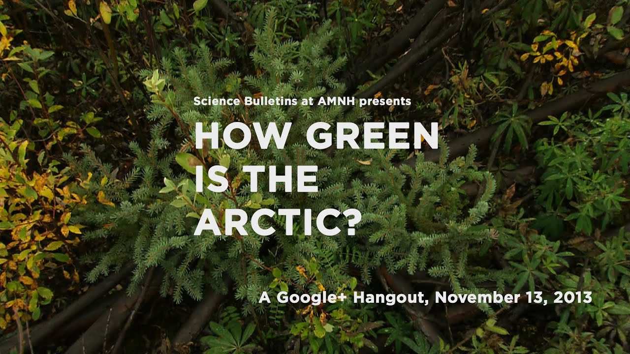 How Green is the Arctic? A Science Bulletins at AMNH Hangout - YouTube