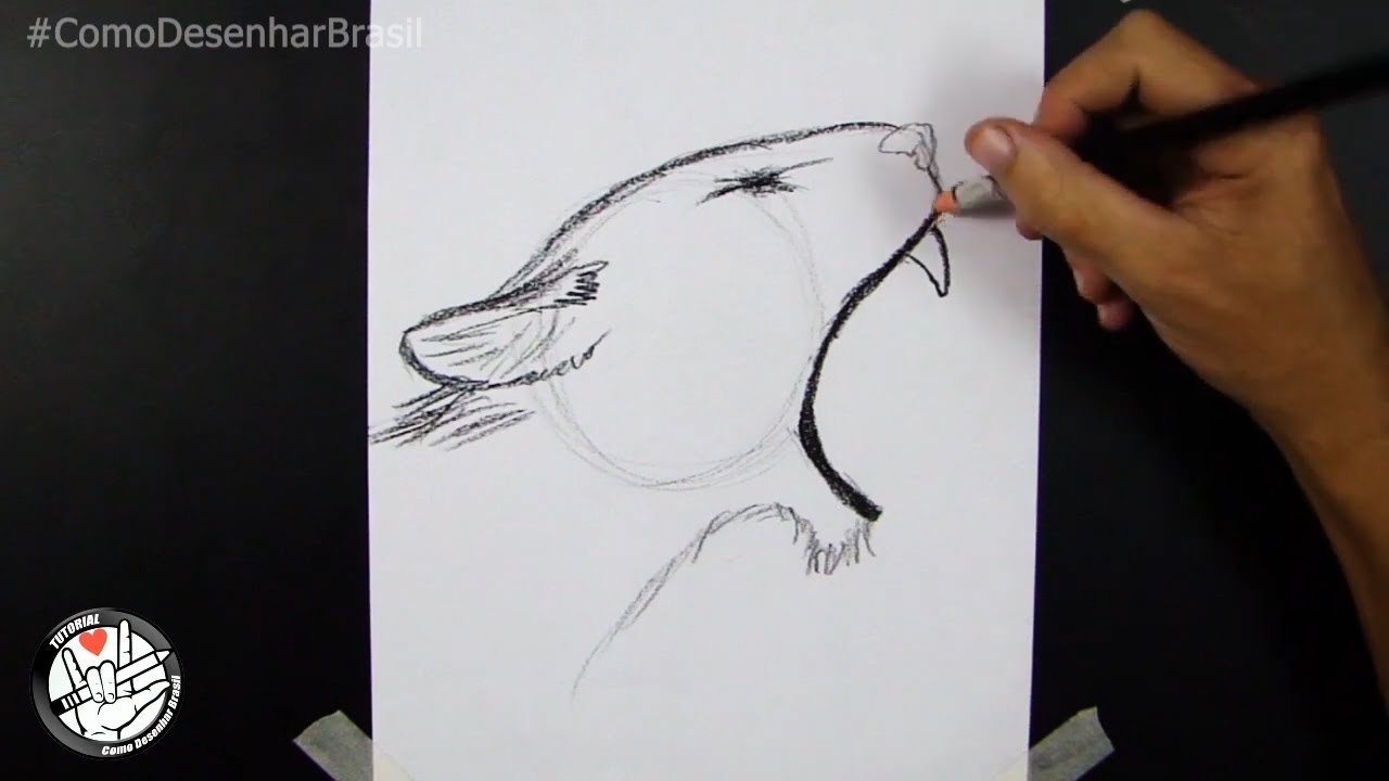 como Desenhar um Onça passo a passo - YouTube
