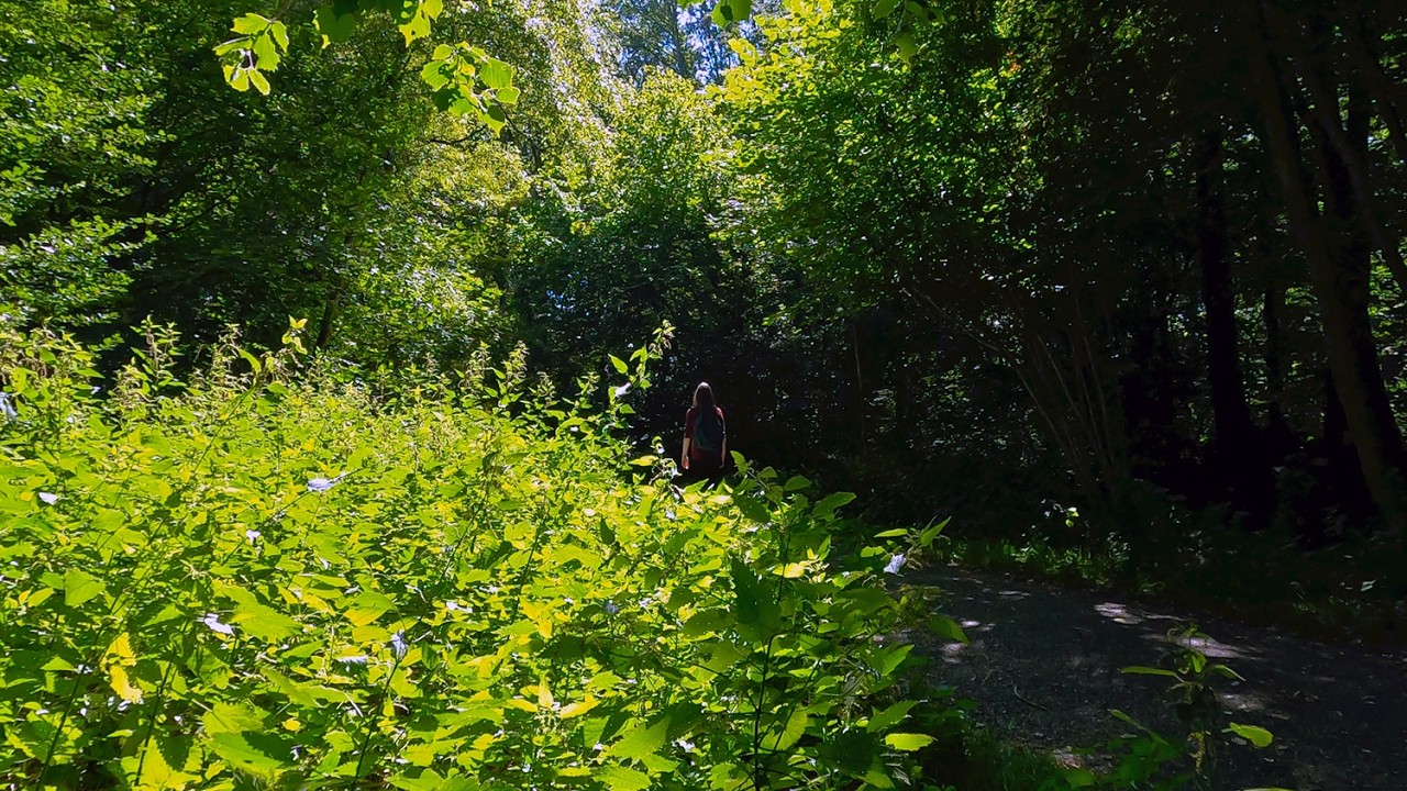 I Found This Old Footage Of A Very Wobbly Walk - YouTube