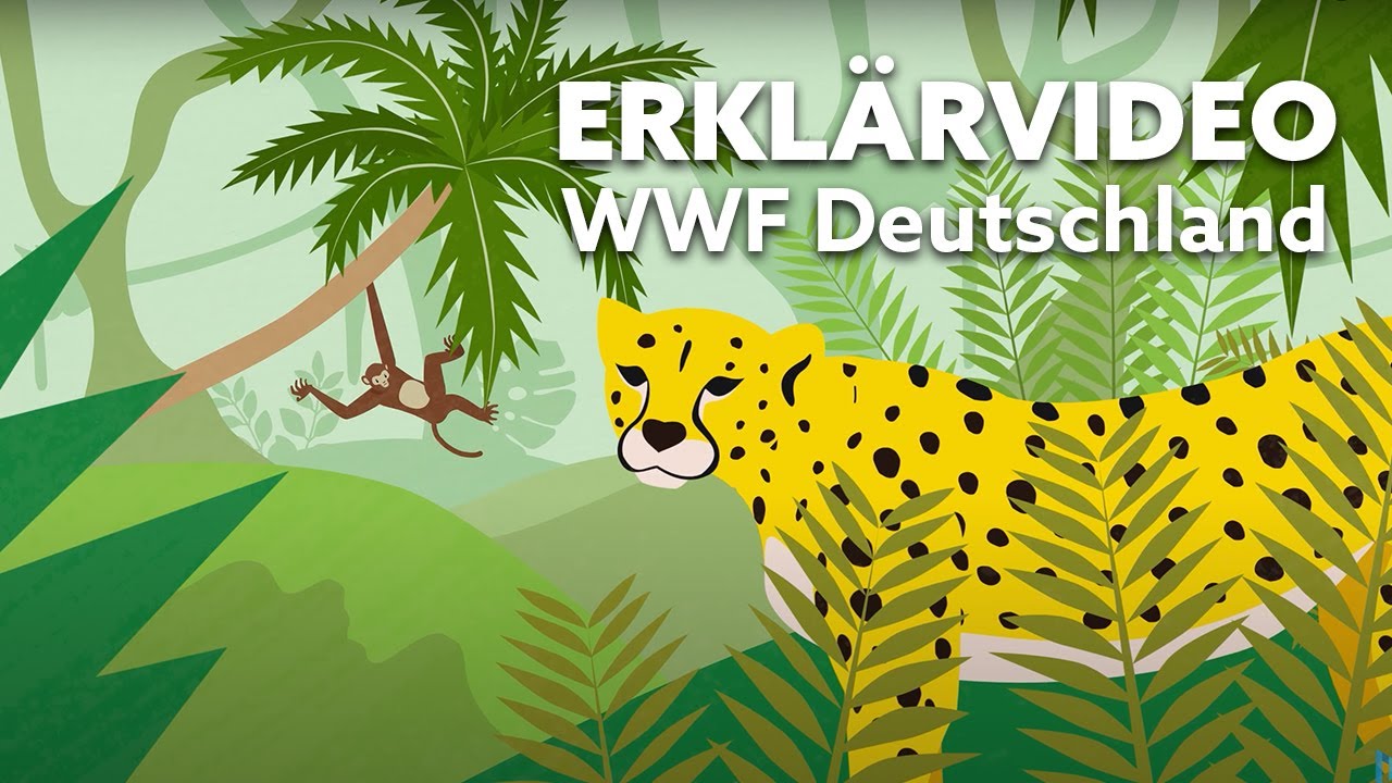 Erklärvideo | WWF Deutschland | Filmproduktion Frankfurt - YouTube