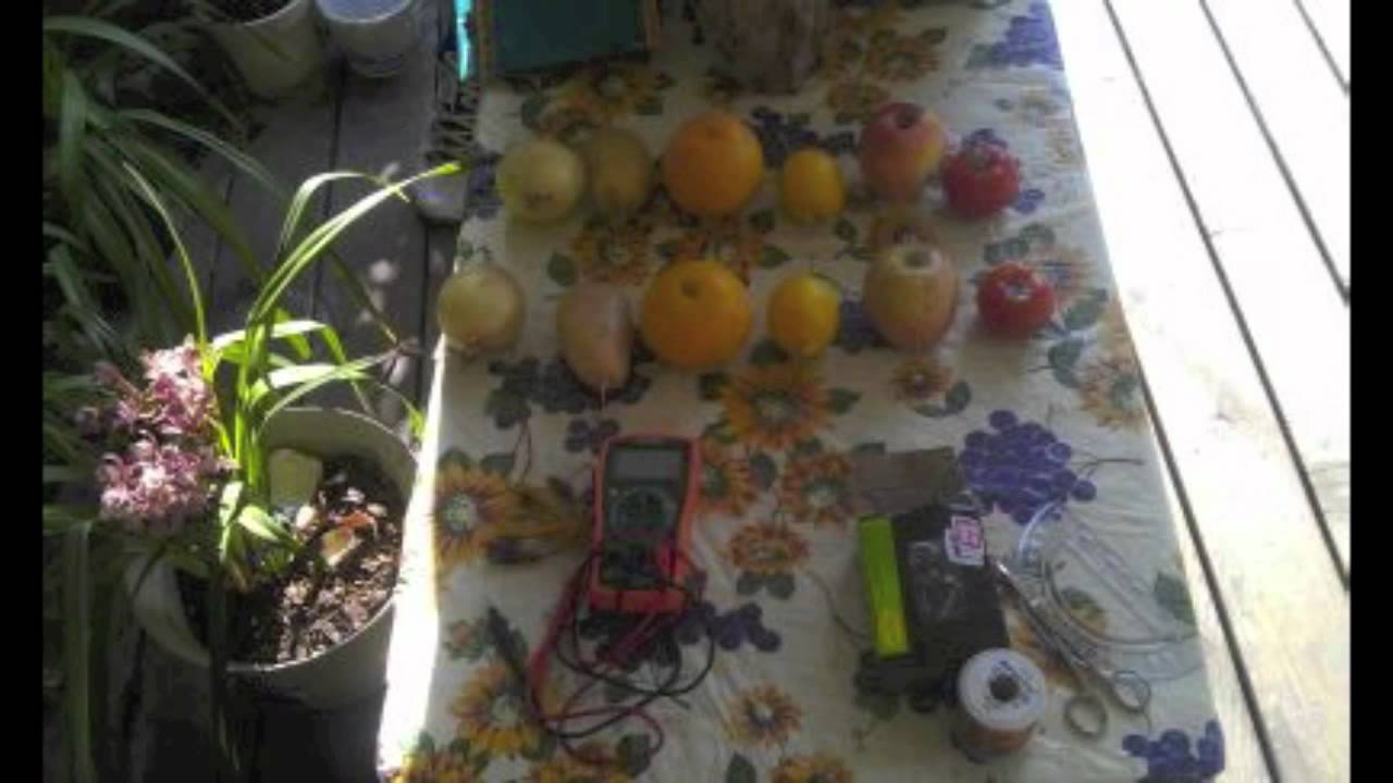 Science Fair Project: Fruits vs. Vegetables - YouTube