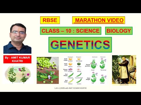 GENETICS : CLASS - 10 : SCIENCE : (MARATHON VIDEO) - YouTube