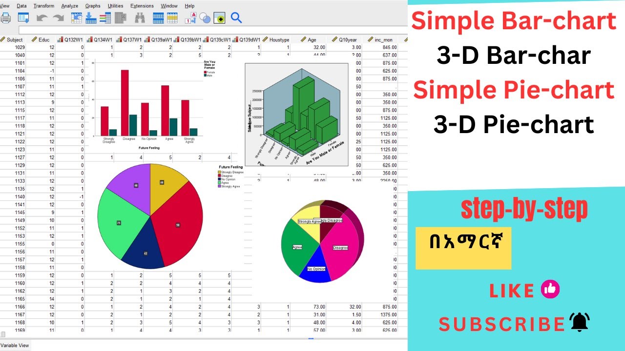 SPSS በመጠቀም Bar-chart and Pie-chart መስራት| Step-by-Step Tutorial - YouTube