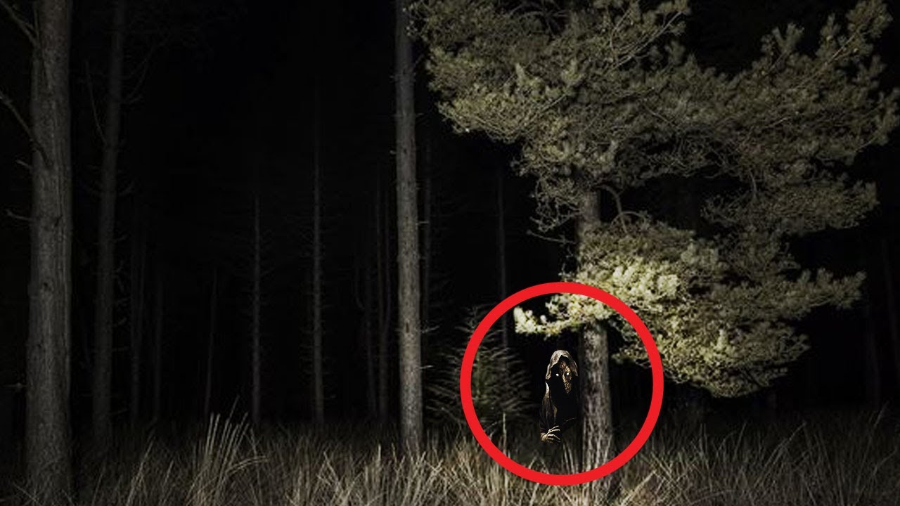 Haunted Forests Hiding Evil Entities - YouTube