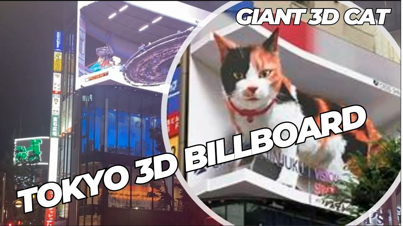 "Discover Tokyo's GIant 3D Cat in Shinjuku!" II The wonderer of japan ...