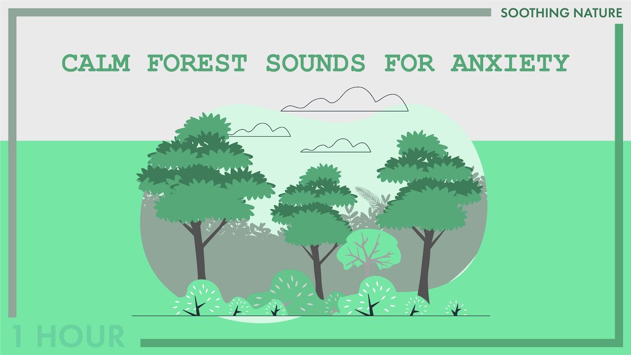 Calm Forest Sounds for Anxiety | Gamer Daddy - YouTube