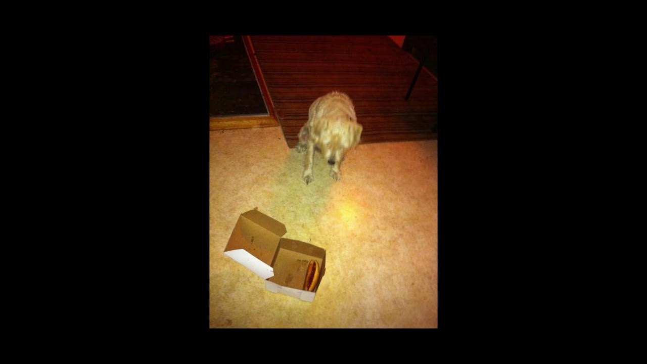 D# A# D# G A# D# (i. Key Party ii. I’ve Been Practicing My Suicide Note ...