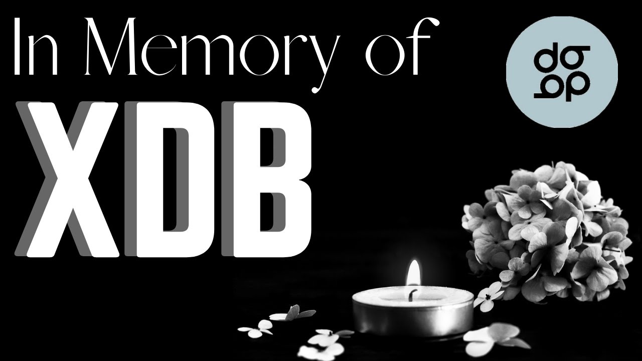 The Tragic Demise of DigitalBits XDB - YouTube