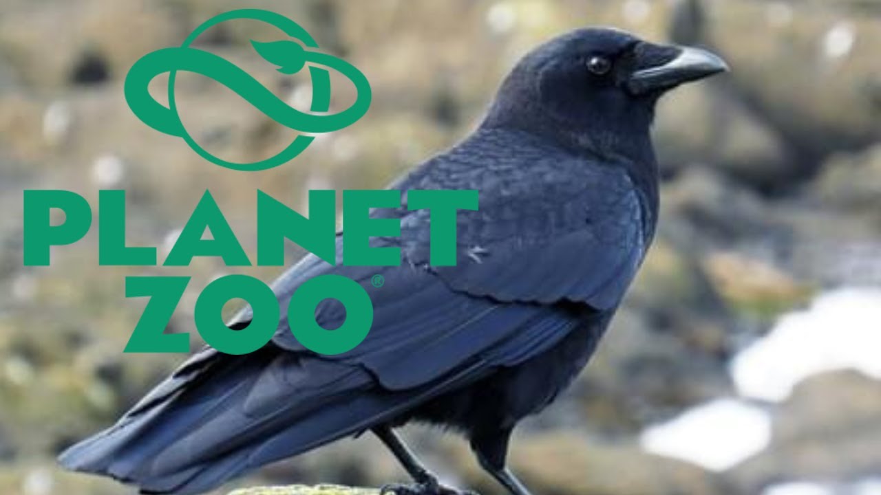 American Crow Habitat Speed build: Planet Zoo - YouTube