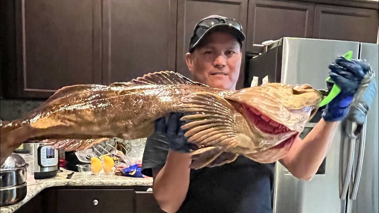MY BIGGEST CATCH LINGCOD AT CAMBRIA CA! - YouTube