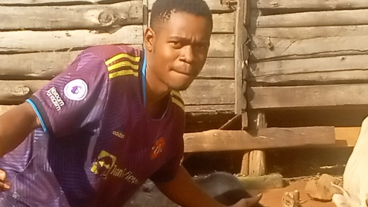 I FEEDER My COW DURING DURING WHAT HAPPENING ‼️ - YouTube