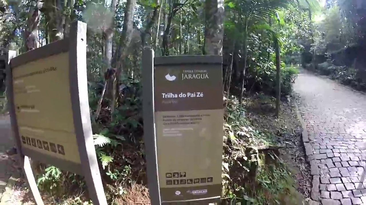 Trilha do Pai Zé em 4 minutos - Parque do Jaraguá - YouTube