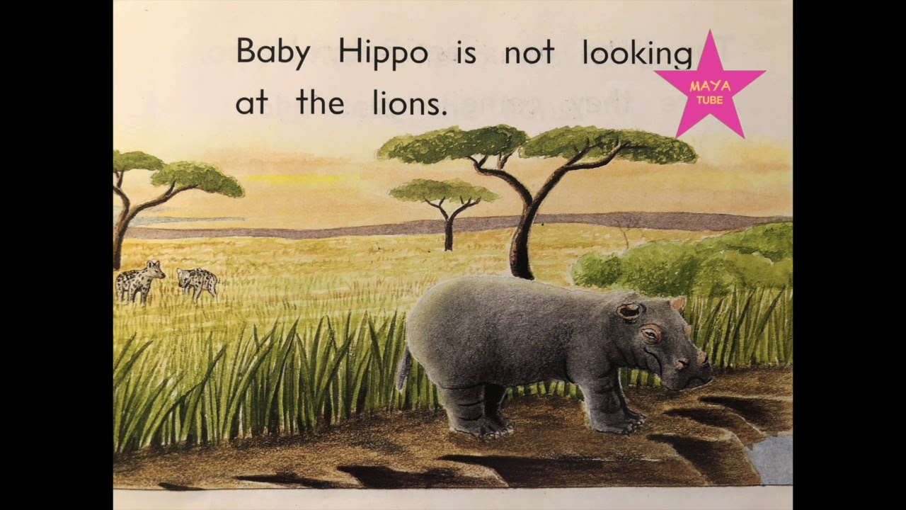 Baby Hippo | 1st grade book | Maya's Library - YouTube