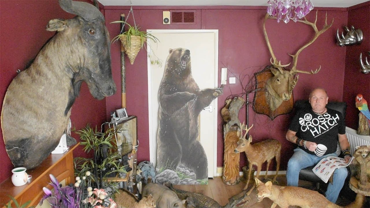 Man Lives in Taxidermy House - YouTube