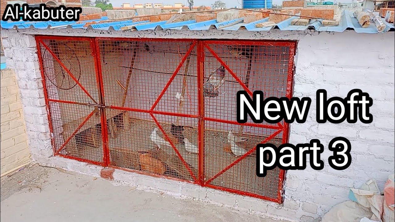 New kabuter setup part 3 - YouTube