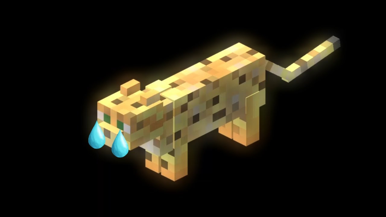Minecraft Ocelot Cat Death Sound Over 1 Million Times - YouTube