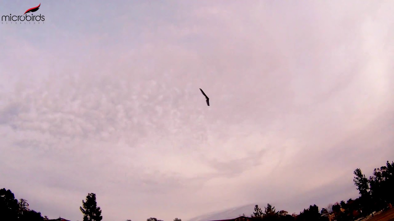 Fast Flying RC Wing Delta 4s setup Zoom Zoom Fast RC Plane - YouTube