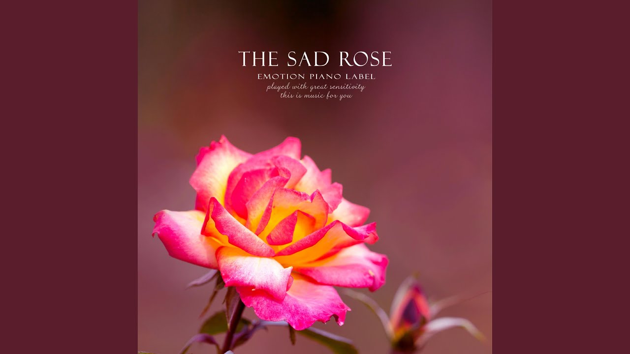 The Sad Rose - YouTube
