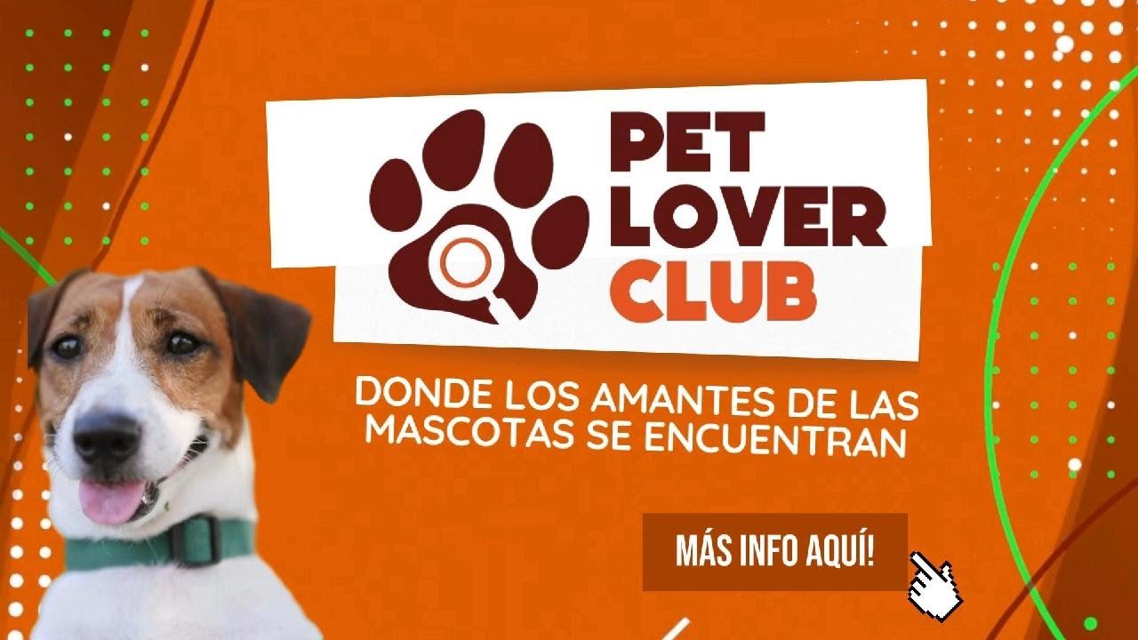 ¿Qué es PET LOVER CLUB? Estos son algunos beneficios de ser PET LOVER ...
