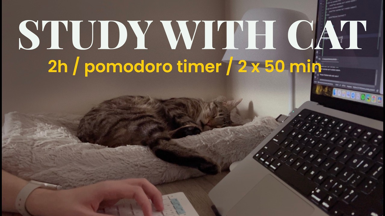 2 HOURS || 2x50 min || pomodoro study timer with a cat || cute lofi ...