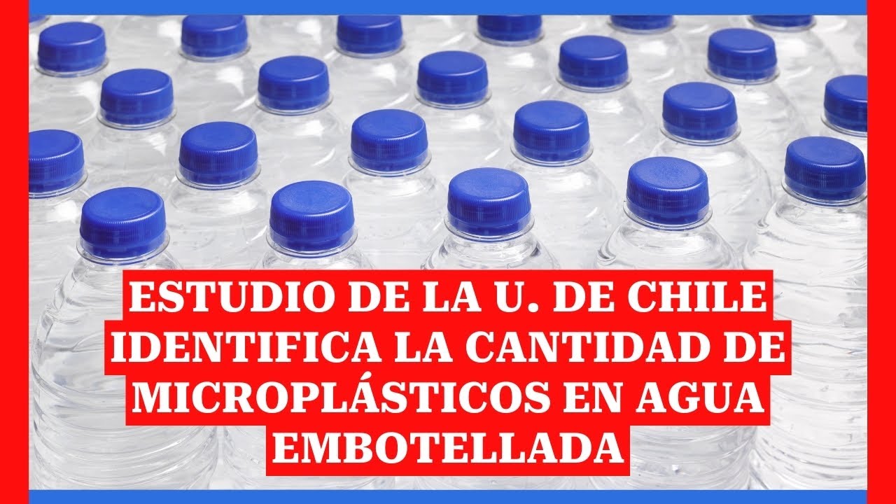 Estudio de la U. de Chile identifica la cantidad de microplásticos en ...