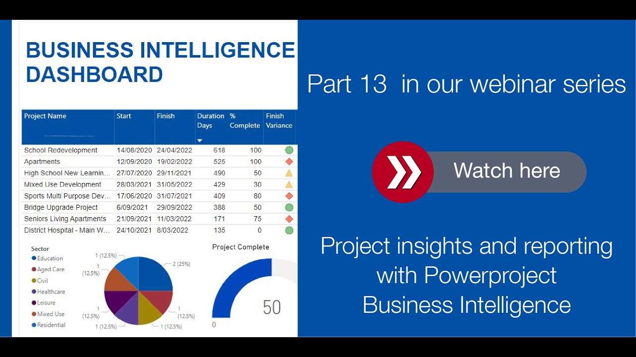 Project insights and reporting with Powerproject Business Intelligence ...