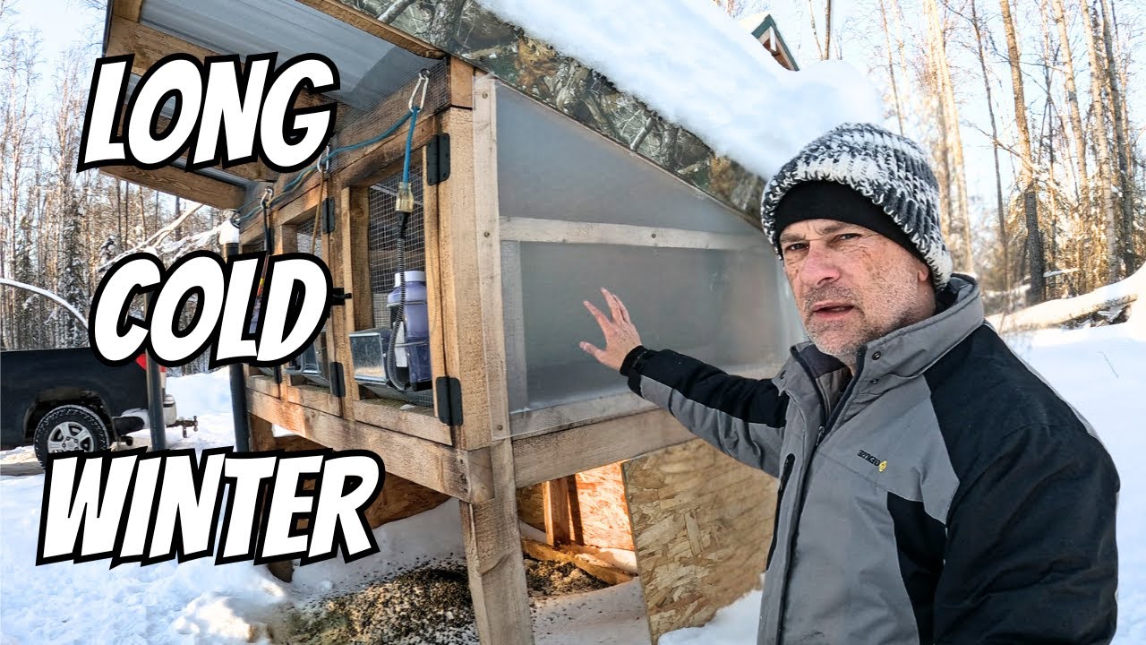 It's Freezing In Alaska! Keeping Rabbits Warm - YouTube