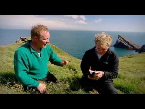 Gordon Ramsay - Puffin Bird Hunt in Iceland - Part 2 - YouTube