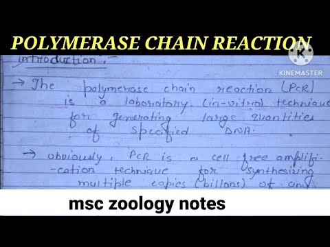 POLYMERASE CHAIN REACTION NOTES IN ZOOLOGY #polymerasechainreaction # ...