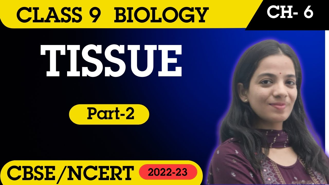 Tissue - plant tissue and animal tissue explanation | Class 9| CBSE ...