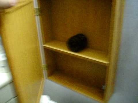 The bathroom spy CAM - Cabin Trip