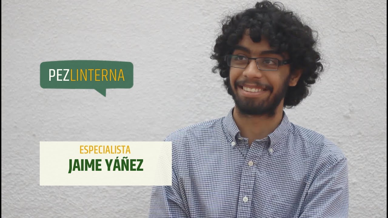 Conversaciones con Jaime Yáñez - YouTube