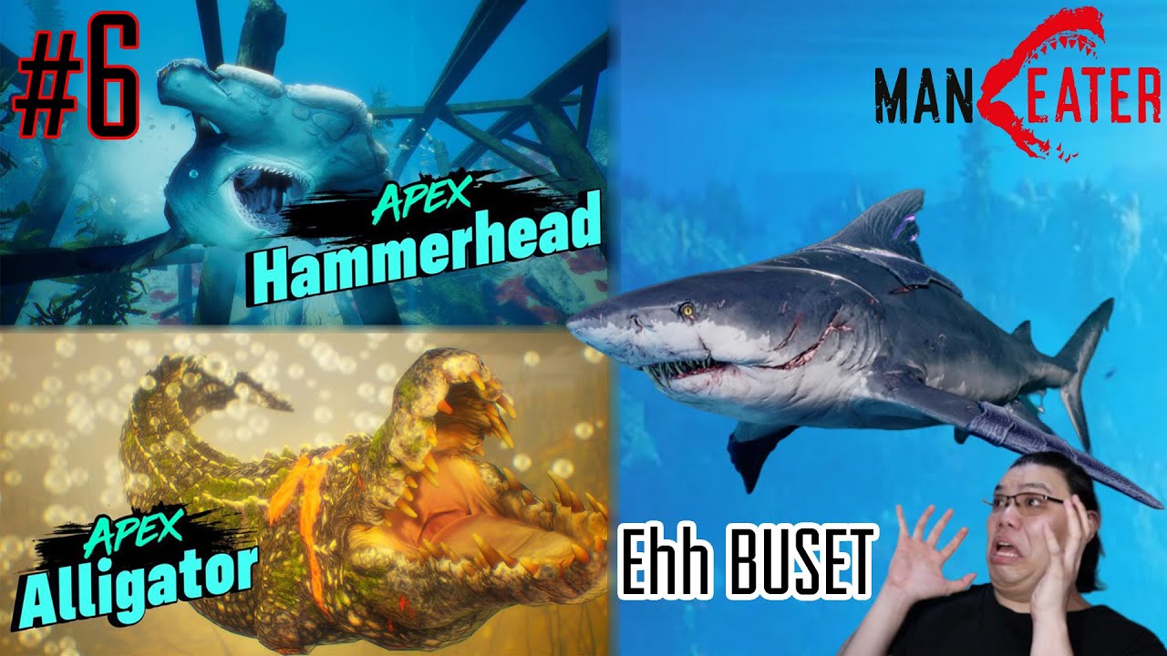 Apex Alligator Dan Apex Hammerhead Lewat - Maneater Indonesia - Part 6 ...