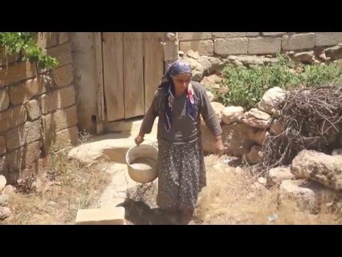 Dövme'ye Kazınan Anılar belgesel
