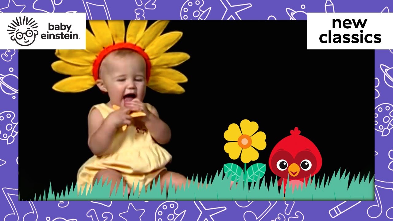 Splish Splash! | New Classics | Baby Einstein | Learning Show for ...