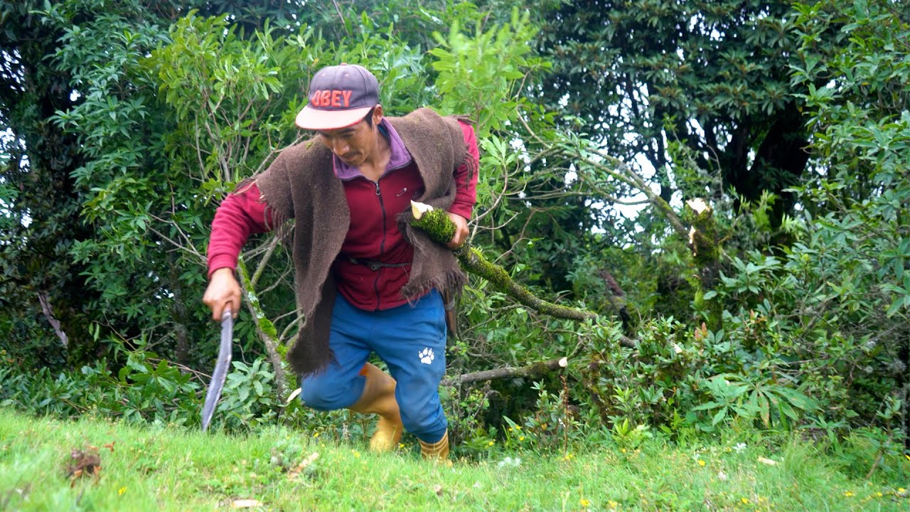 somuhang taking tree branches to make fence, shepherd life of Nepal ...