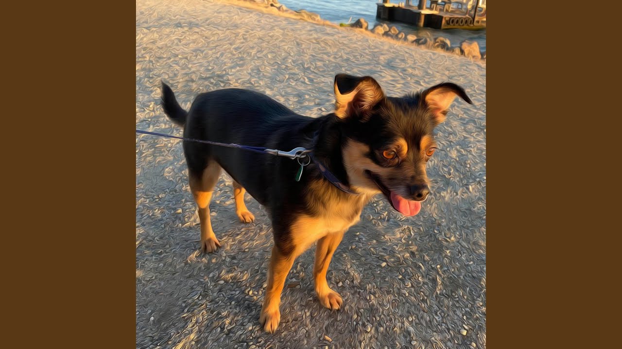 Most Folks Don't Understand (feat. Brian J. Danforth, Kevin J. Kenny ...