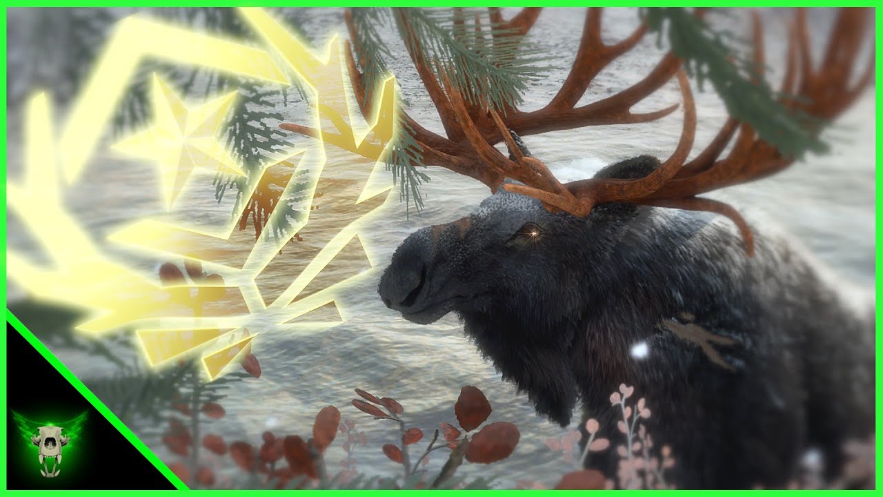 The Fastest G1 Moose Grind Ever! theHunter: Call of the Wild - YouTube