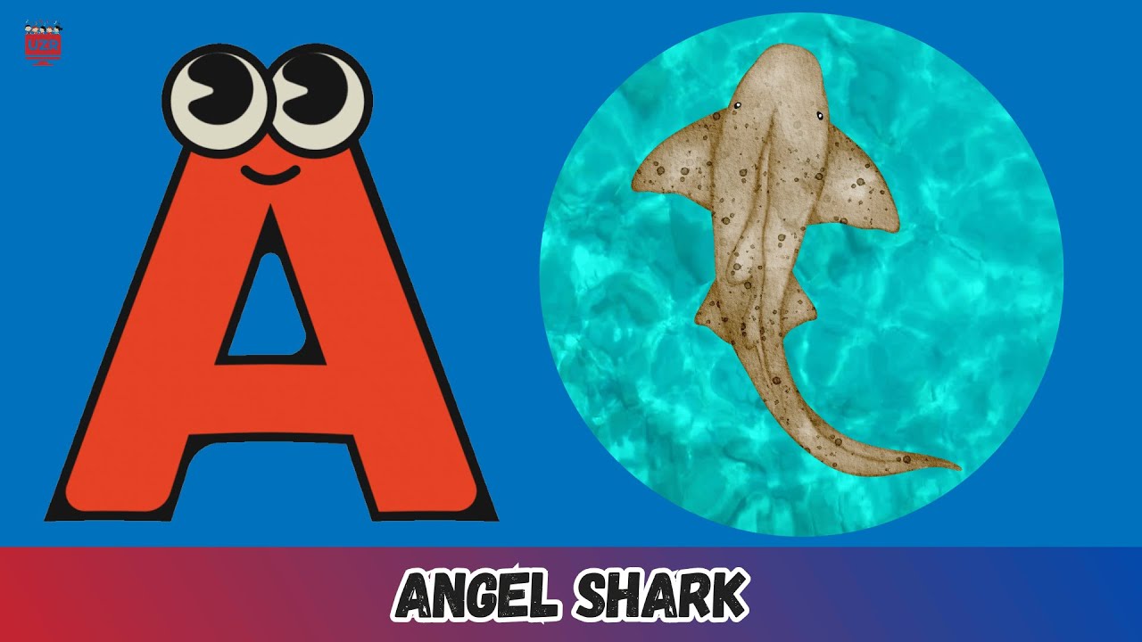 A to Z Shark & Sea Creatures Phonics Song | Underwater ABC for Kids ...