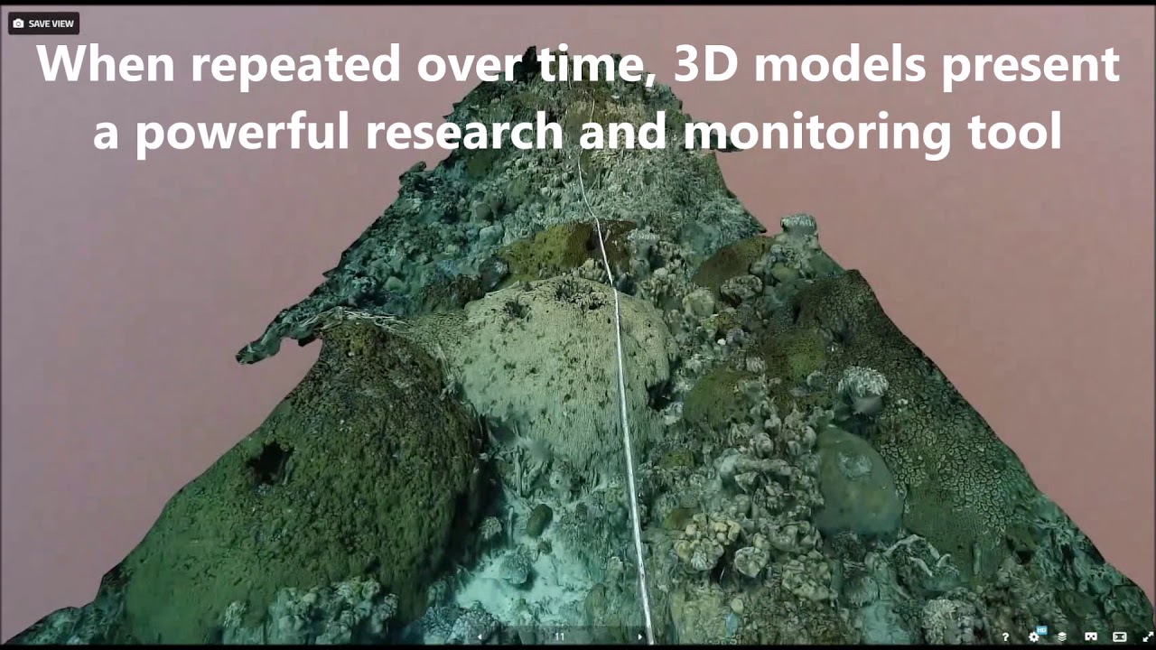 Depiction of Coral Reefs Through Advanced 3D Photogrammetry - YouTube