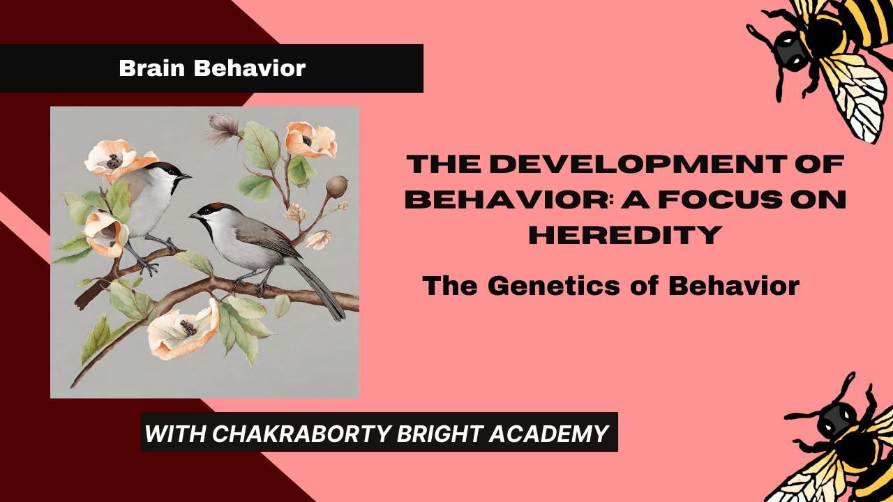 The Development of Behavior: A Focus on Heredity II The Genetics of ...