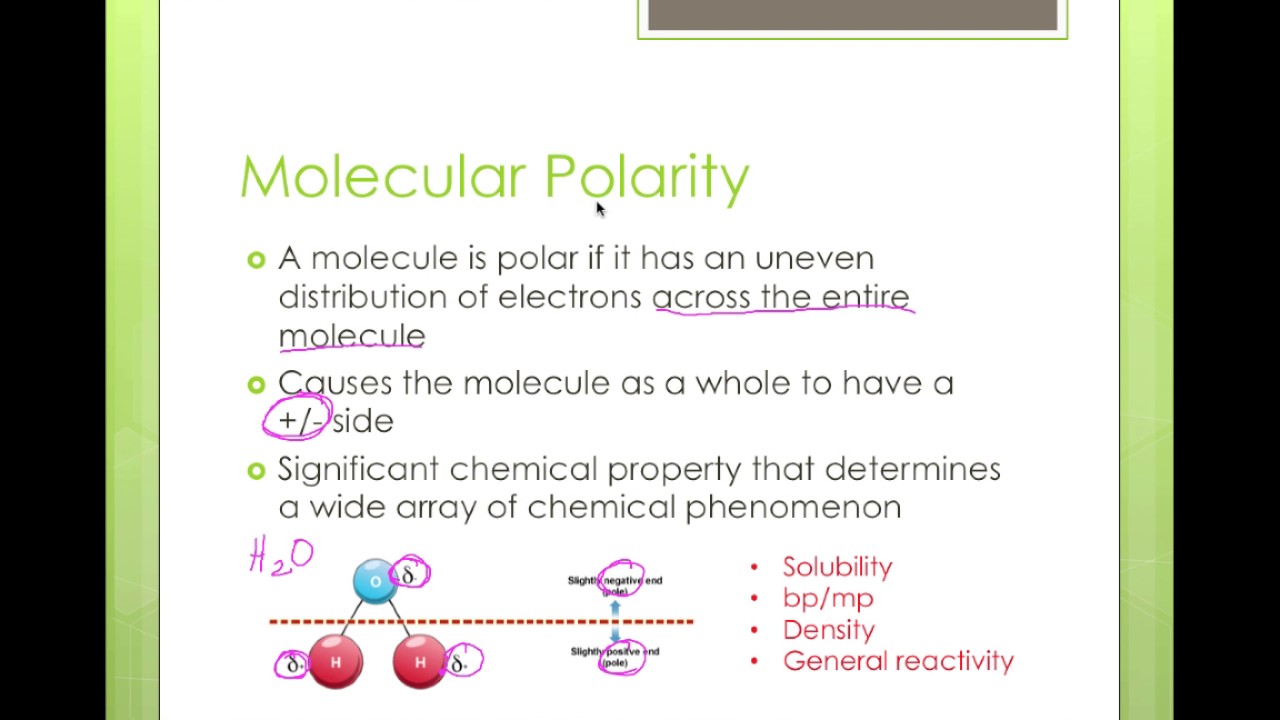 Polarity Definition