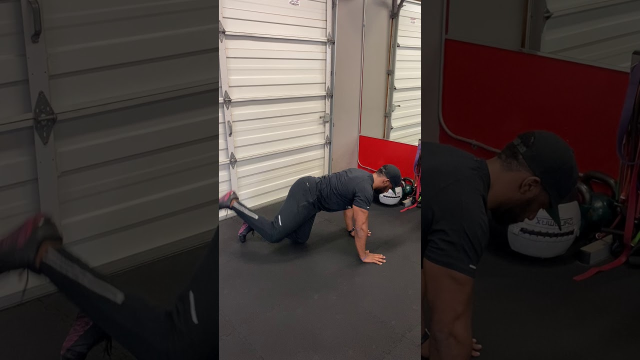 Quadruped Hip Circles: Forward to Back - YouTube