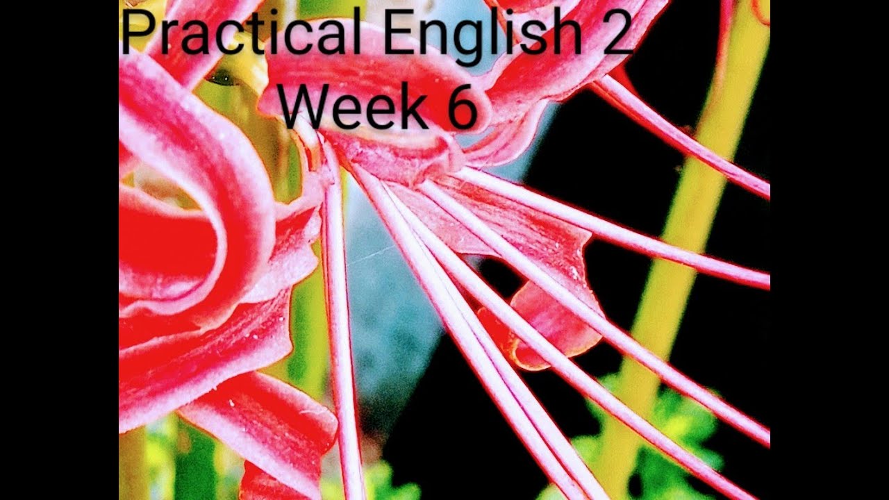 Practical English 2 Week 6 - YouTube