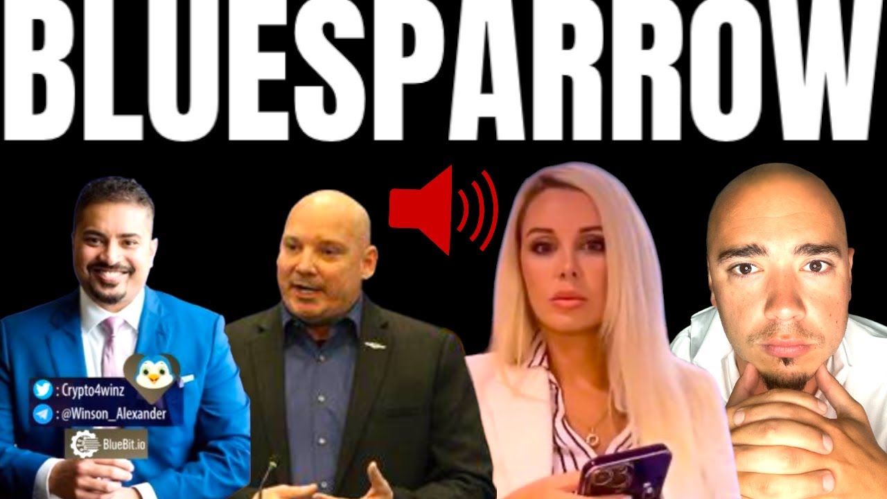 THE BLUESPARROW TOKEN AMA, BLUEBIT LTD, & MORE! - YouTube