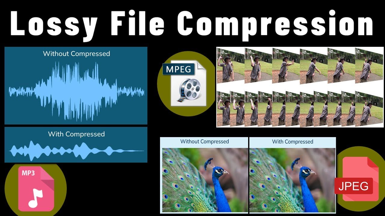 Lossy File Compression (MP3, MP4, JPEG) in اردو / हिंदी | Computer ...