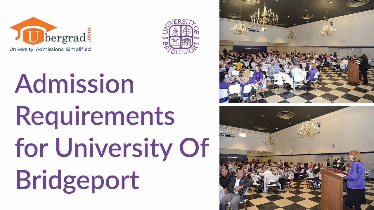 Admission Requirements for University Of Bridgeport - YouTube