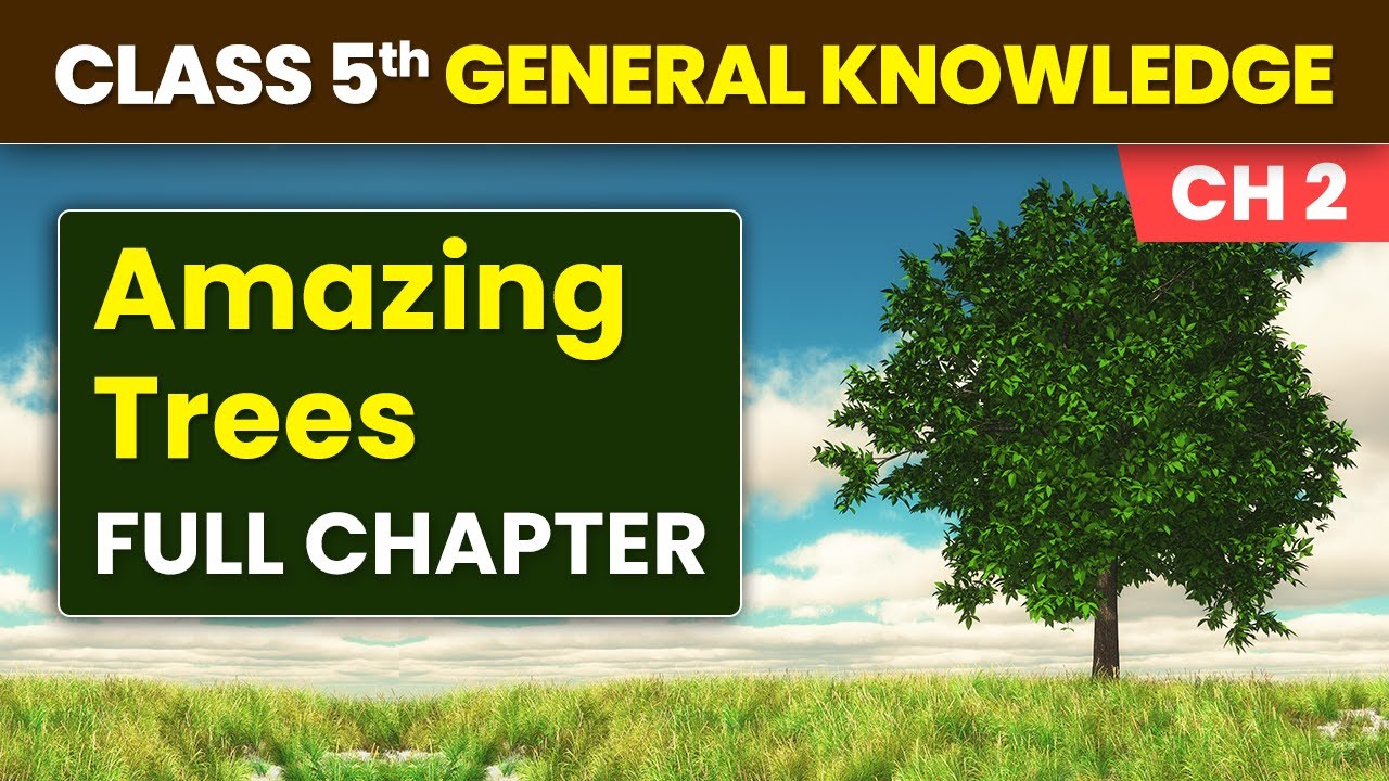 Amazing Trees - Full Chapter Explanation & Exercise | Class 5 General ...